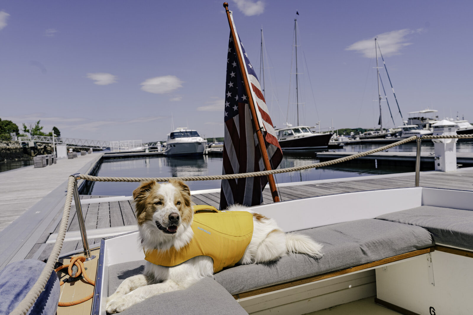 Book Scenic Portland, Maine Boat Tours with Sail Portland Maine